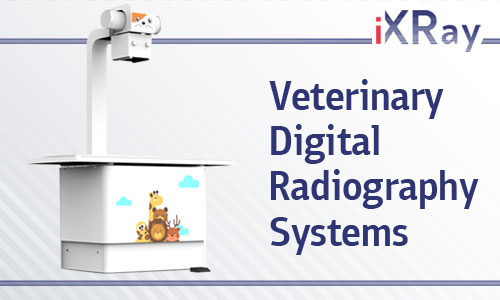 Veterinary digital radiography systems